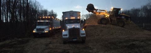 Clear Cut Tree Company